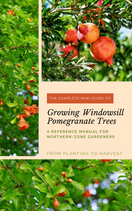 Book Launch: “The Complete Mini-Guide to Growing Windowsill ...