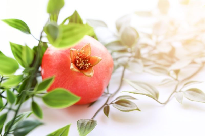 Cold-Hardy Sweet Cherry Trees: Is the Chelan Cherry Viable?